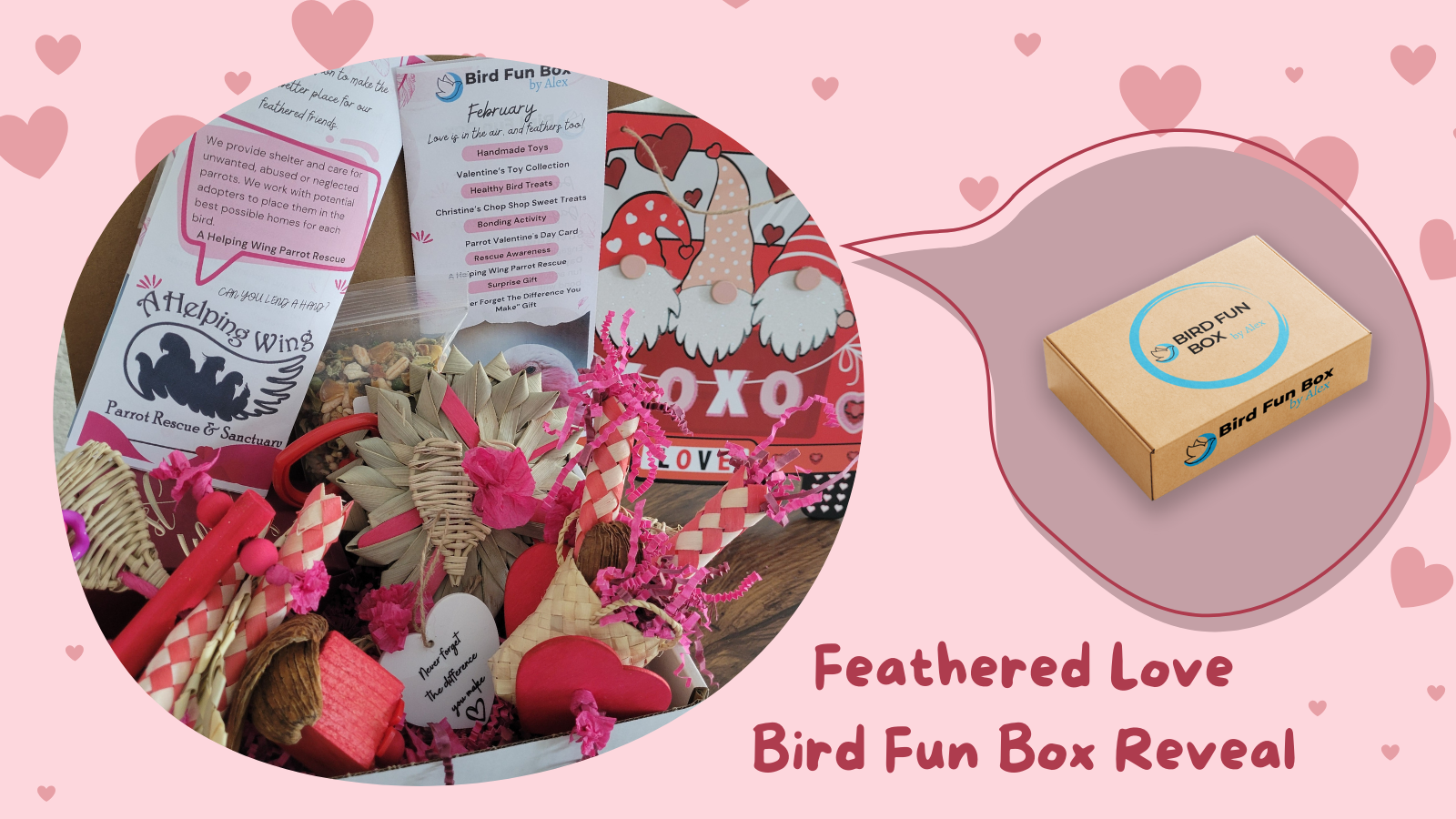 February 2024 Box Reveal- My Valentine Gift to Your Birdie – Alex's Bird Kingdom