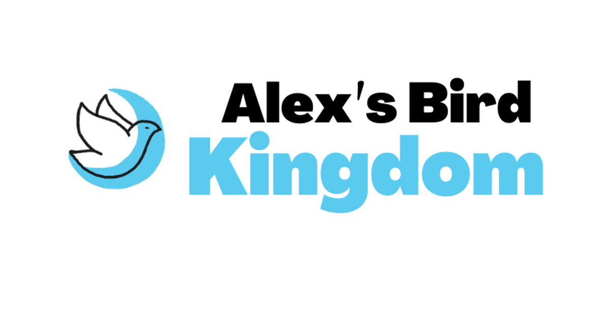 Alexs Bird Kingdombird Fun Box Subscription Handmade Alex Bird Toys