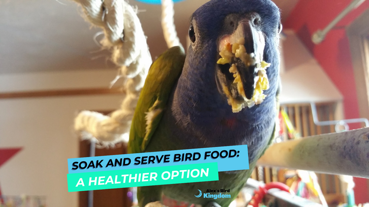 Soak and Serve Bird Food: A Healthier Option for Your Birds – Alex's ...
