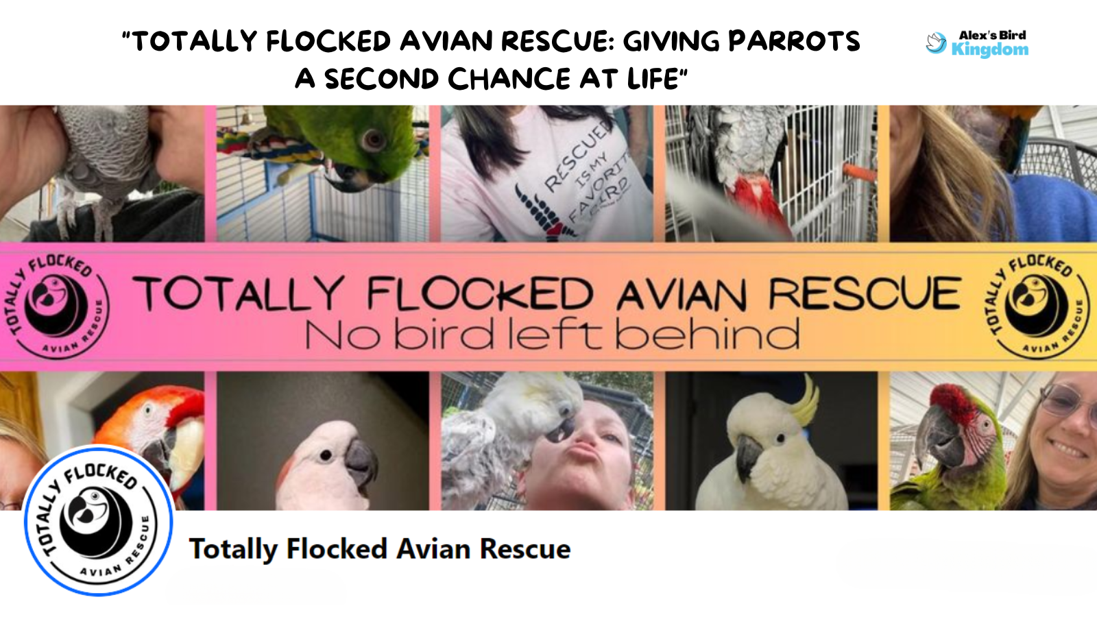 Totally Flocked Avian Rescue: “No Bird Left Behind” – Alex's Bird Kingdom