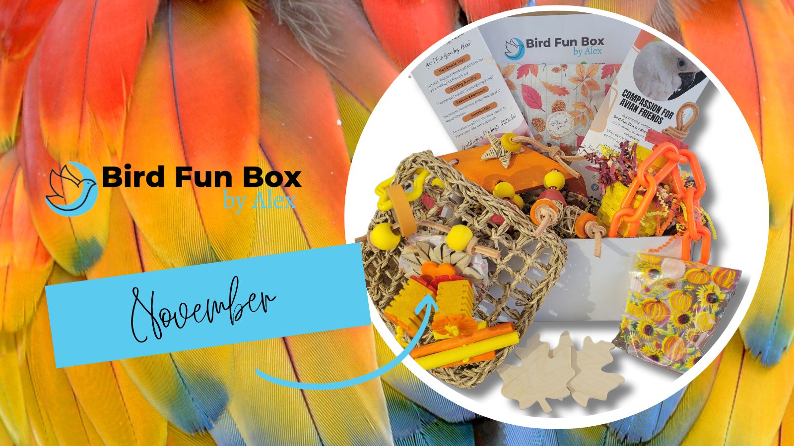 November Bird Fun Unboxing: Let’s Get Cozy with Thankful Feathers ...