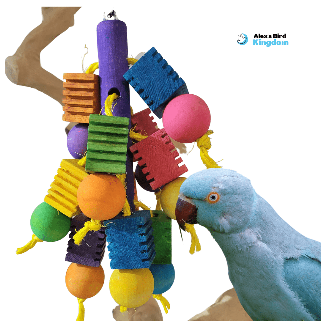 Chirp Rainbow Blocks Bird Toy for Medium-Sized Parrots – Handmade Fun ...
