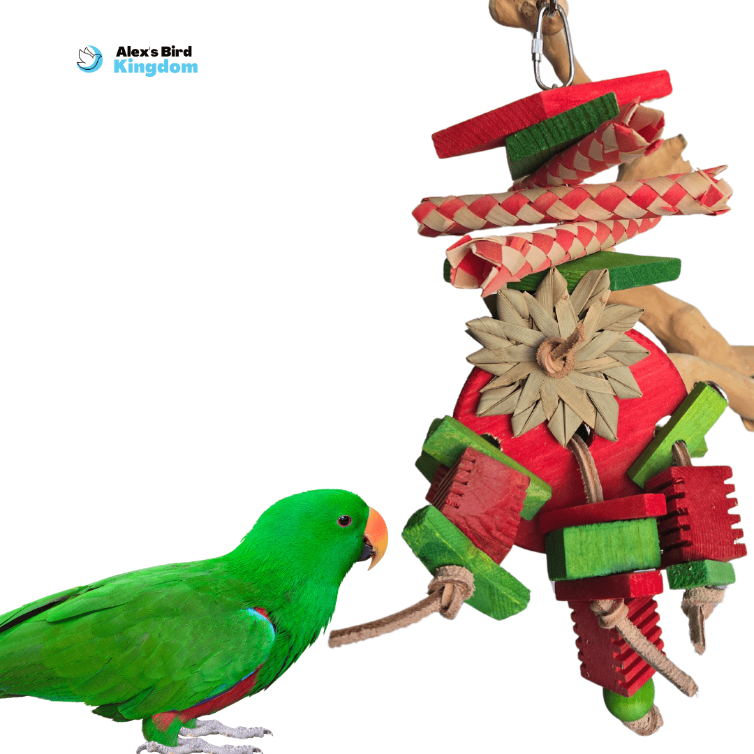 Colorful Blast Bird Toy – Alex's Bird Kingdom