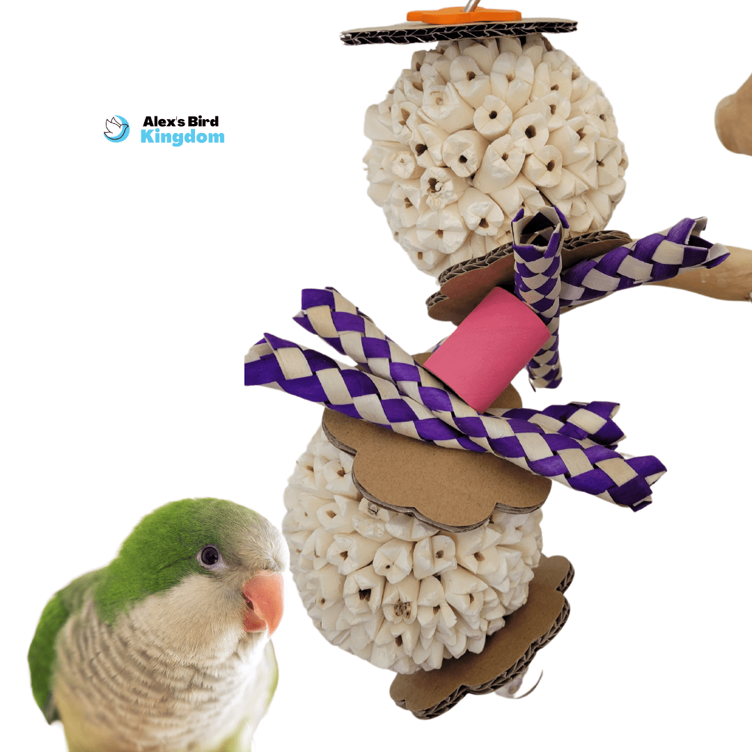 Kabob Bonanza Bird Toy– he Refillable Chew & Snack Toy Medium Birds ...