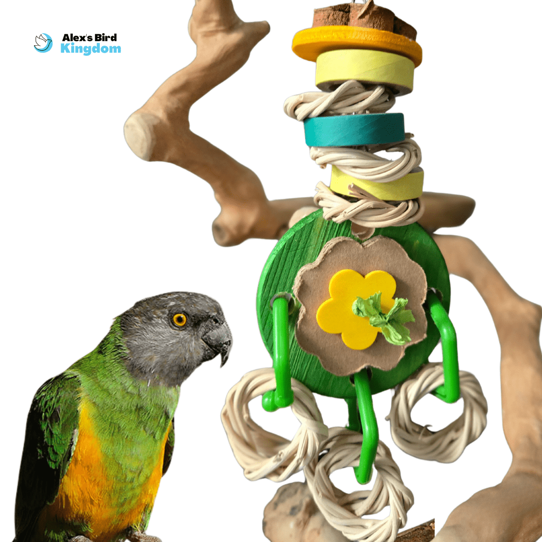 Nature’s Playground Bird Toy – For Medium Birds | Alex’s Bird Kingdom ...