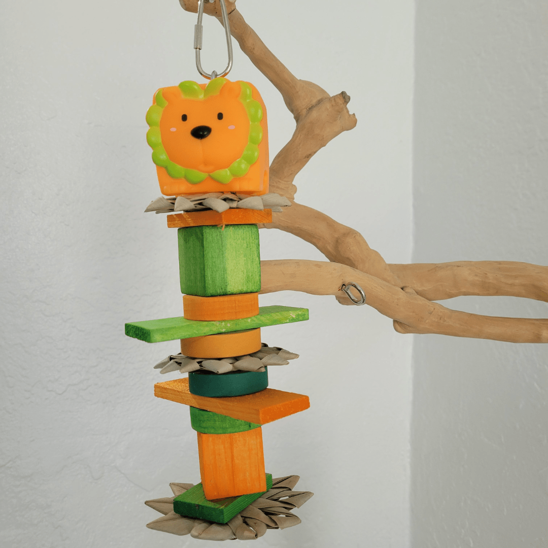 Squirt 'n' Play Bird Toy – Alex's Bird Kingdom