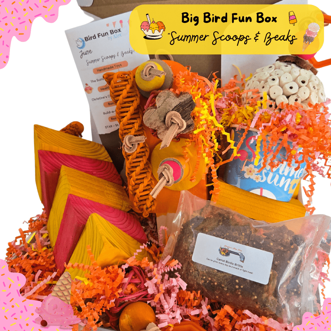 Monthly Bird Toy Subscription Box – Bird Fun Box by Alex – Alex's Bird ...