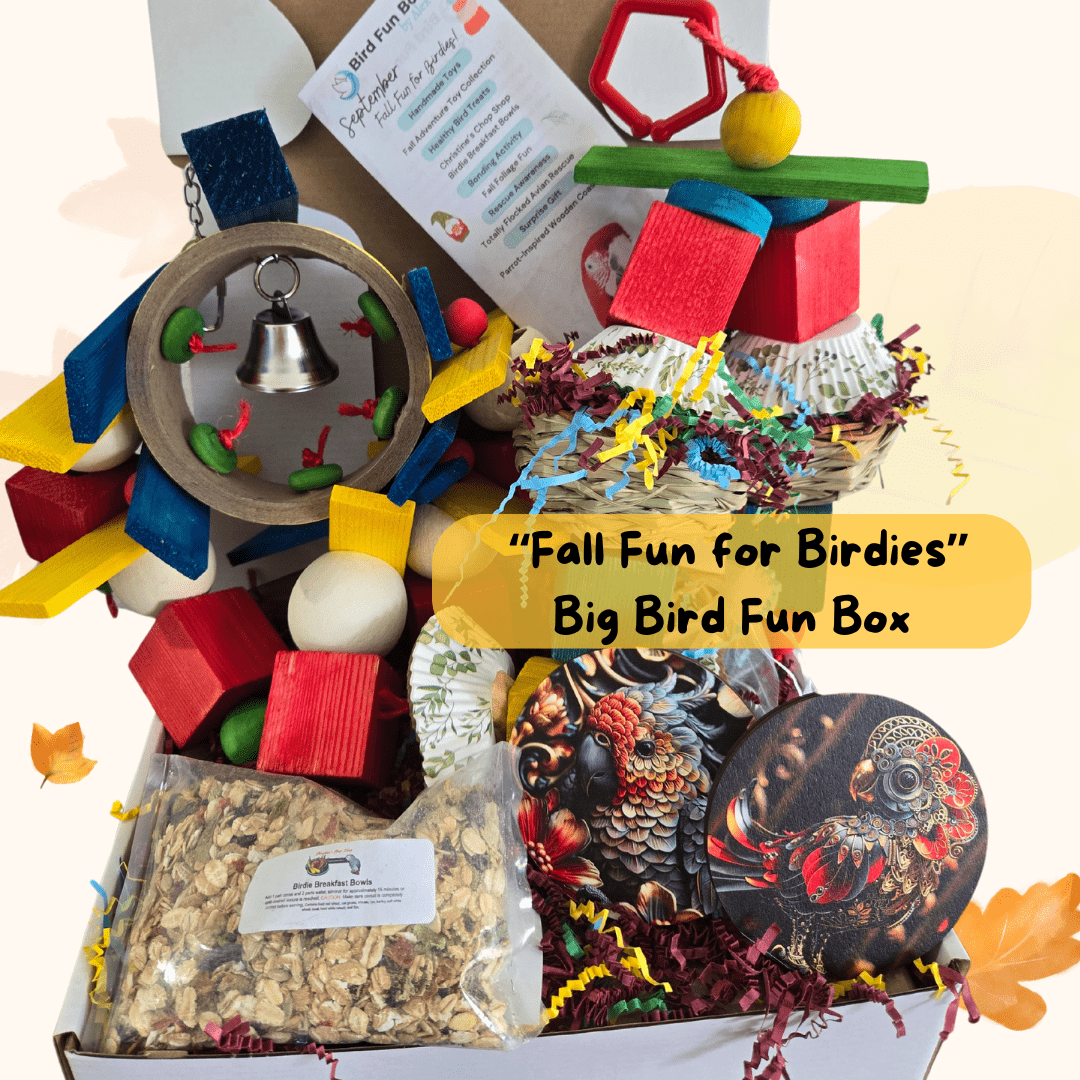 Alex's Bird Kingdom:Bird Fun Box Subscription-Handmade Alex Bird Toys