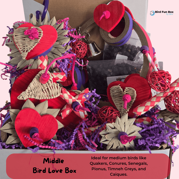 Alex's Bird Kingdom:Bird Fun Box Subscription-Handmade Alex Bird Toys