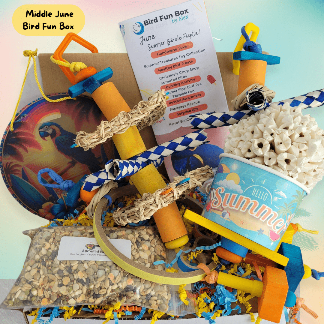 Alex's Bird Kingdom:Bird Fun Box Subscription-Handmade Alex Bird Toys