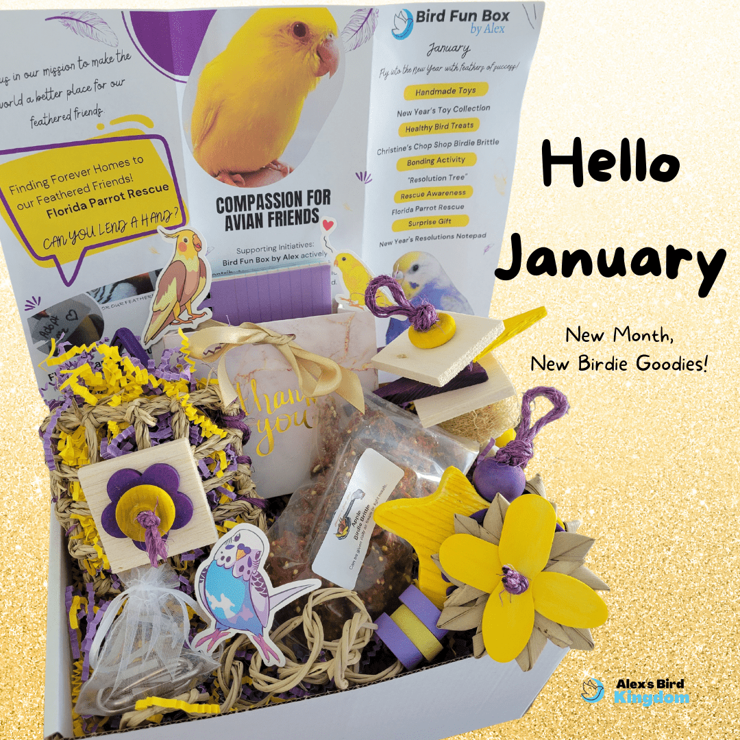 Monthly Bird Toy Subscription Box for Small Birds– Petite Bird Fun Box ...