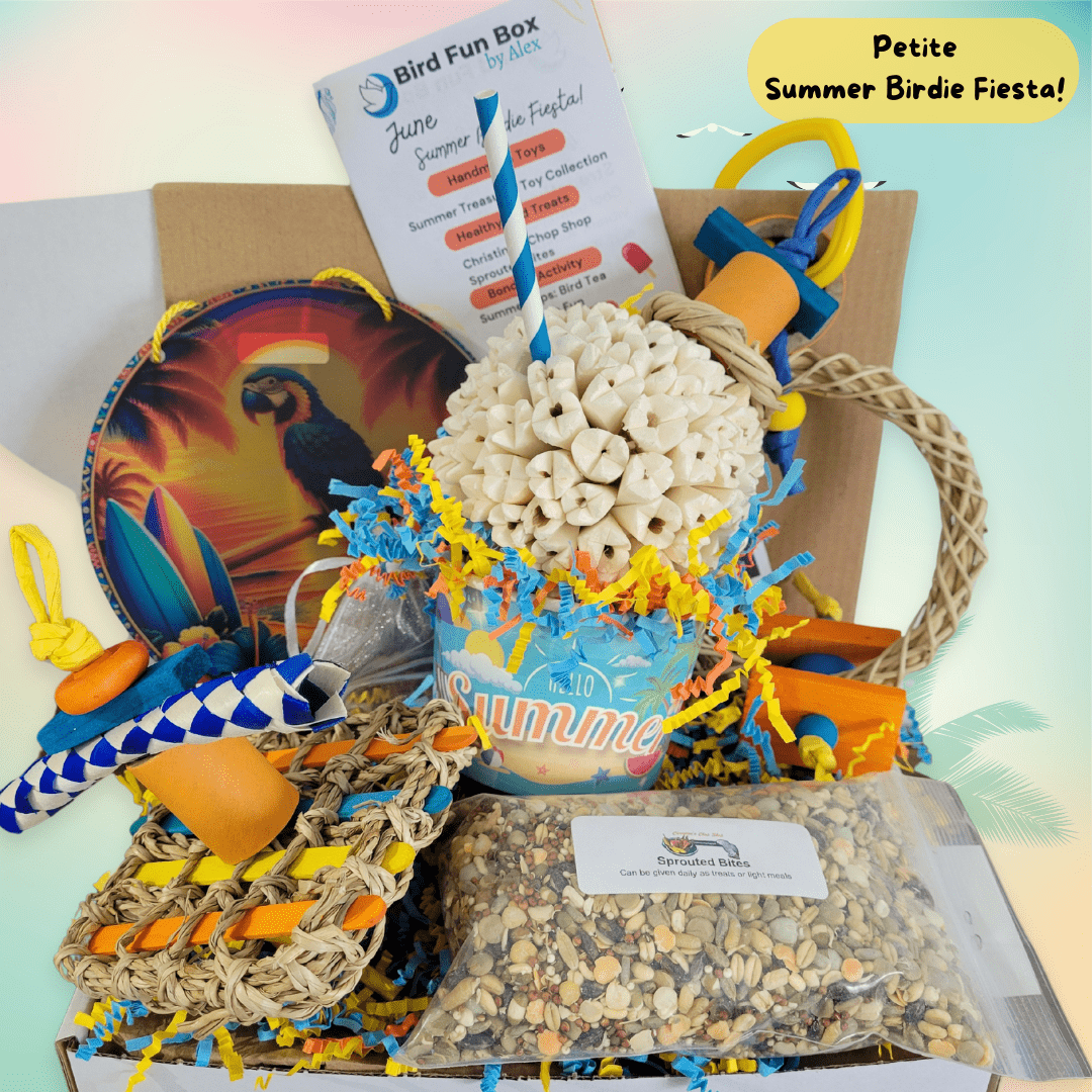 Alex's Bird Kingdom:Bird Fun Box Subscription-Handmade Alex Bird Toys