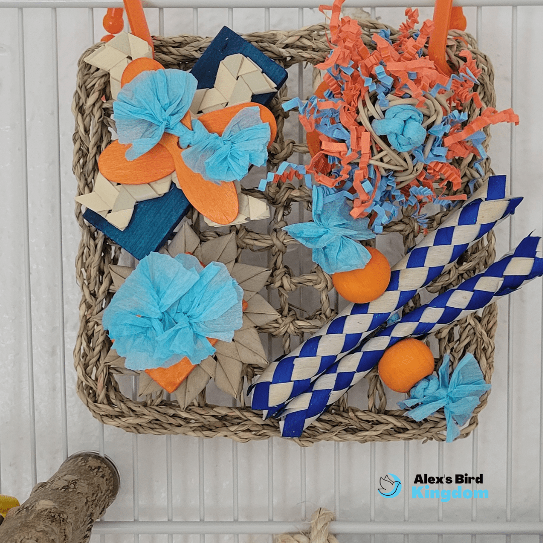 Alex's Bird Kingdom:Bird Fun Box Subscription-Handmade Alex Bird Toys