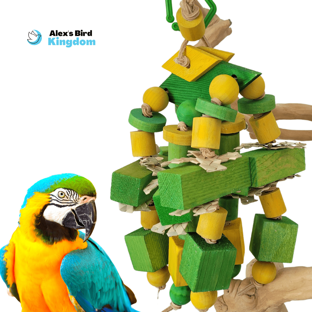 Big Bird Paradise Toy – Alex's Bird Kingdom
