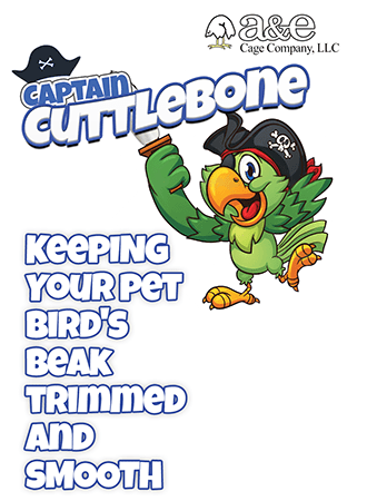 Cuttlebone Pieces 6" - 8" - 5lb Bulk Box – Alex's Bird Kingdom