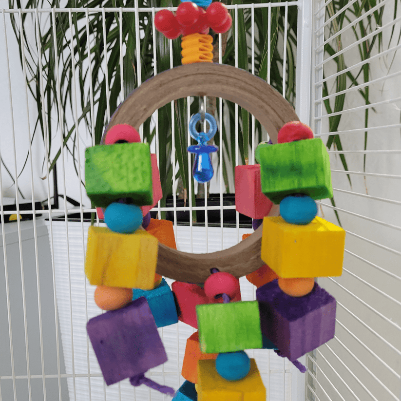 Balsa Rainbow Ring Bird Toy – Alex's Bird Kingdom